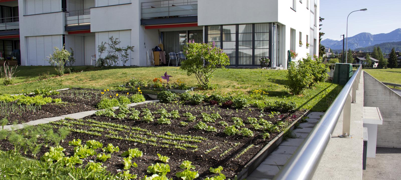 Potager sur le toit | ZinCo.CH