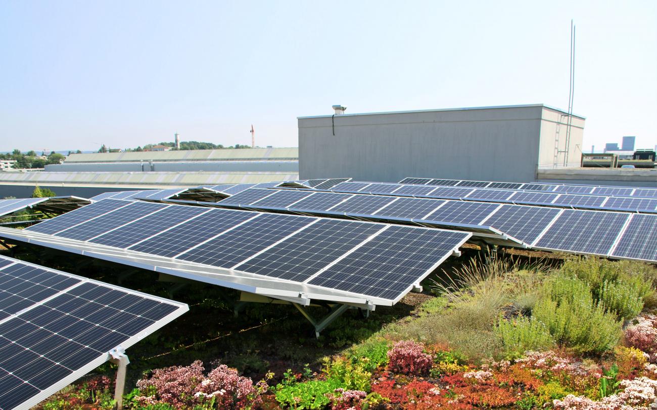 Sistemi tetto verde | ZinCo.CH