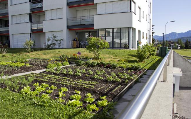 Systèmes Toits Verts | ZinCo.CH